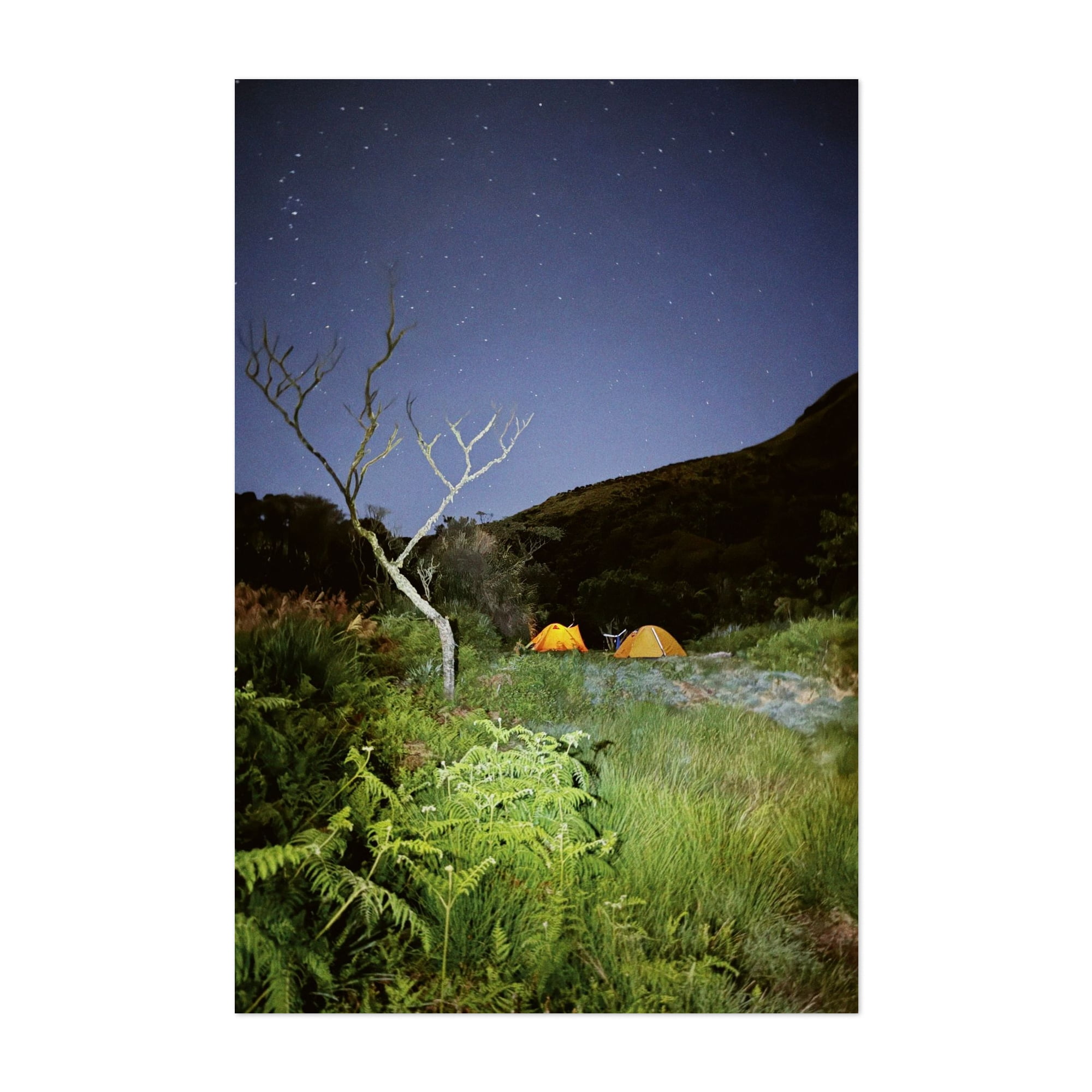 Starry starry night - Davao City Davao Region Philippines Photography ...