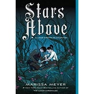Berrybrook Middle School Series: Junior Novels Reading Box Set for ...