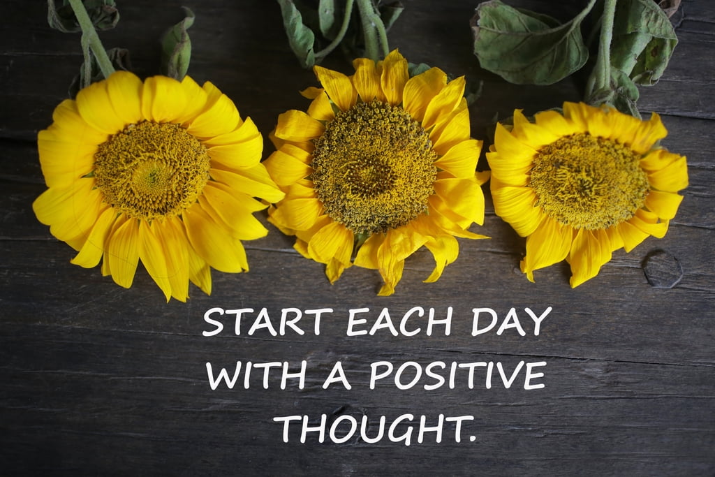 Sunflower Decor Inspirational Wall Art Motivational Posters Positive ...