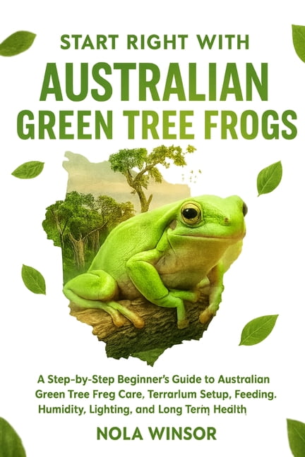 Start Right with Australian Green Tree Frogs: A Step-by-Step Beginner's ...