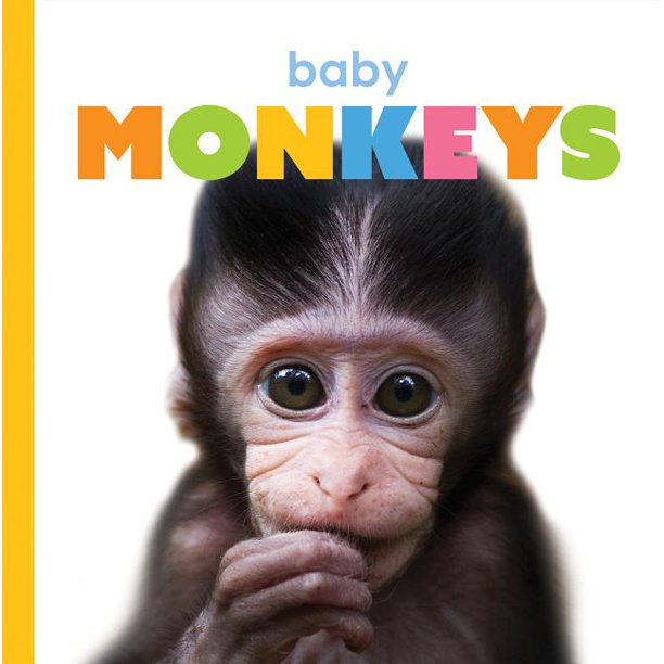 Starting Out: Baby Monkeys (Paperback) - Walmart.com