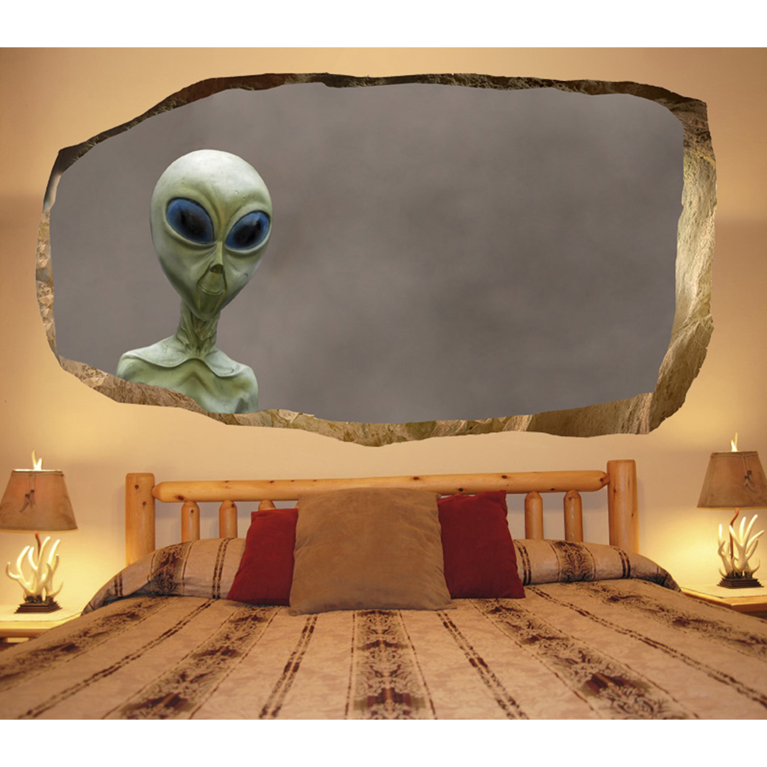 Startonight 3D Mural Wall Art Photo Decor Alien in my Bedroom Amazing ...