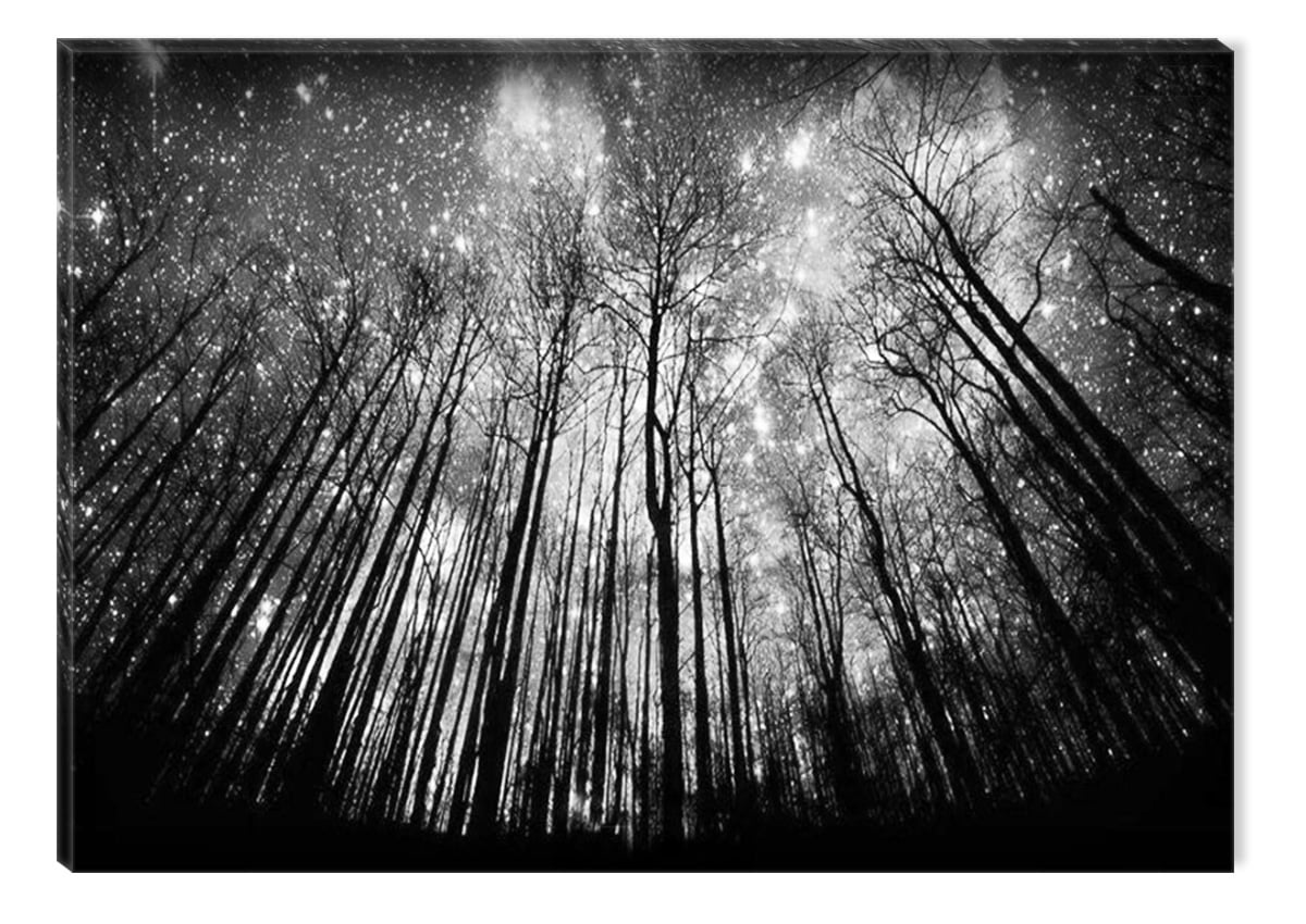 Startonight Canvas Wall Art Black and White Abstract Starry Night, Dual ...