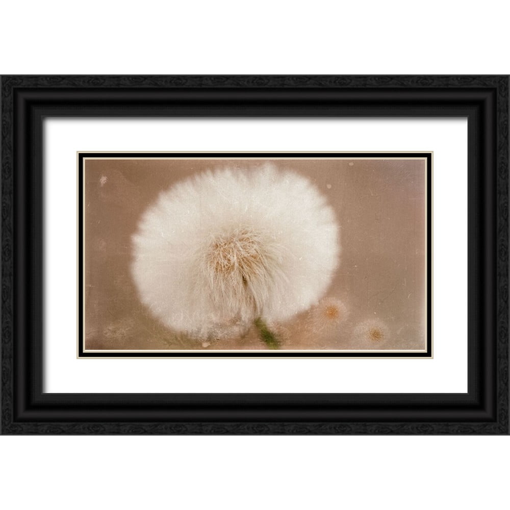 Stas, Marie-Anne 32x20 Black Ornate Wood Framed with Double Matting ...