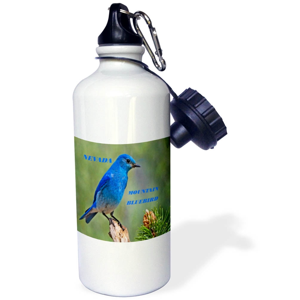 State Bird Of Nevada Mountain Bluebird 21 oz Sports Water Bottle wb ...