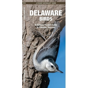 Bird Watcher's Digest Backyard Guid Midwestern Birds: Backyard Guide ...