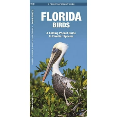 Bird Watcher's Digest Backyard Guide: Southern Birds: Backyard Guide ...