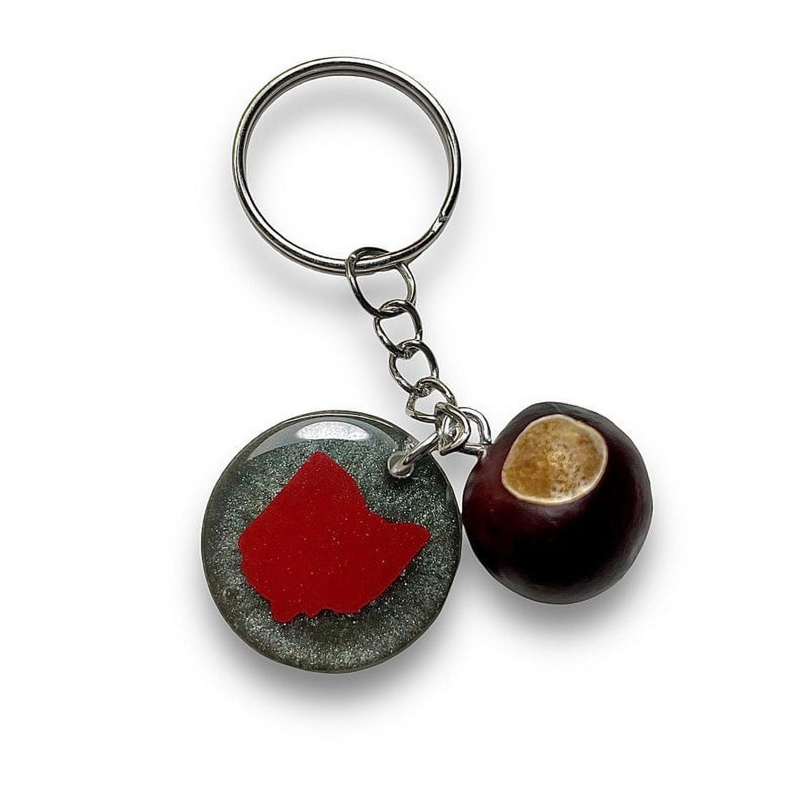 State of Ohio Keychain with REAL Buckeye Nut, Football Fan Gift for Him ...