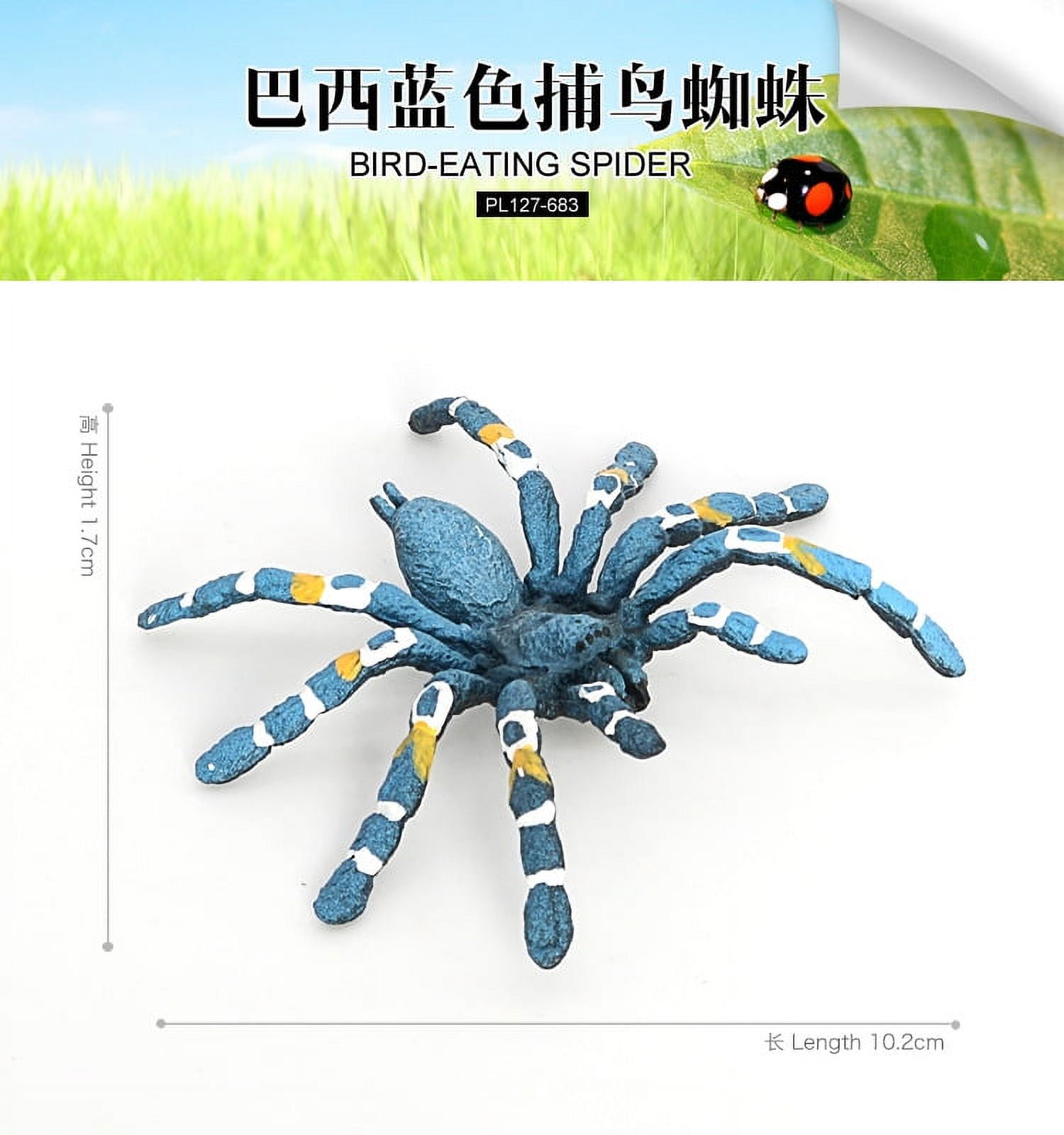 Static Simulation Insect Model Spider Ceramulus Mantis Butterfly ...