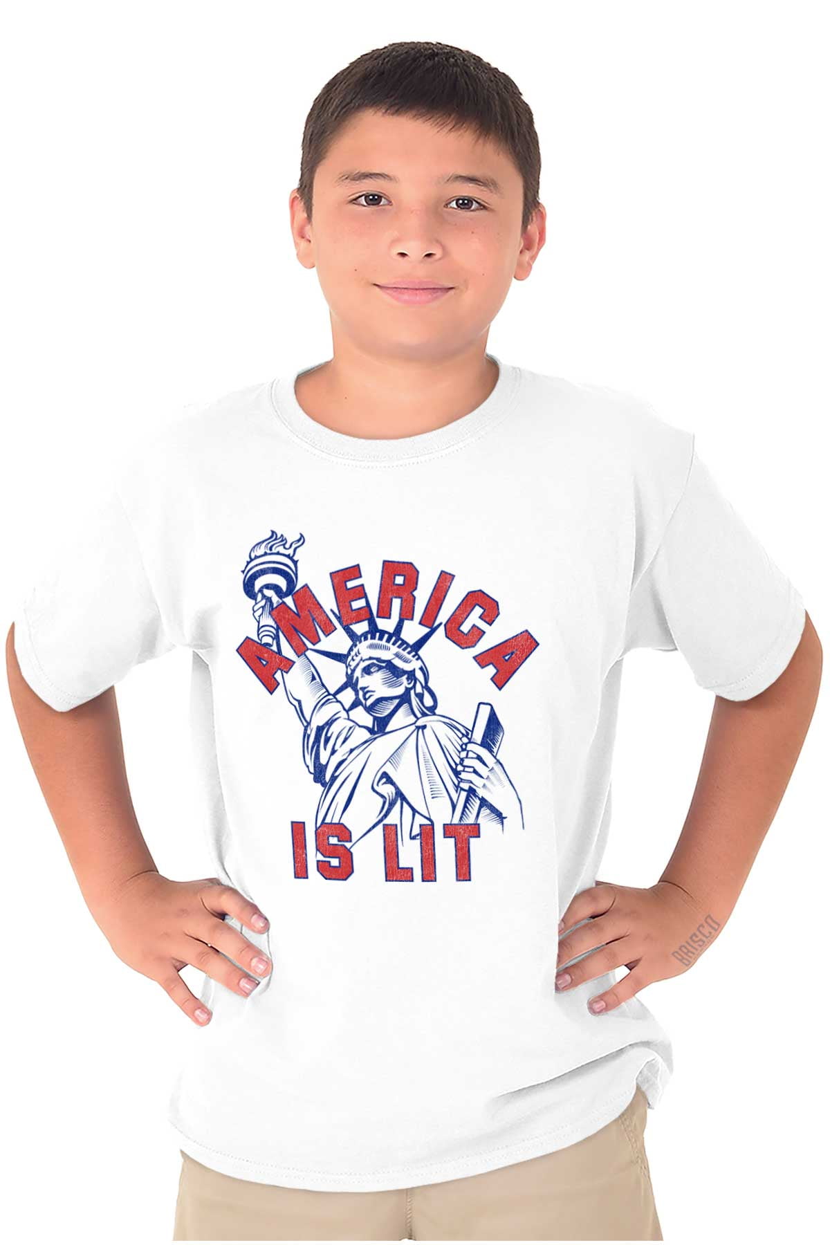 Statue of Liberty America is Lit Joke Crewneck T Shirts Boy Girl Teen ...