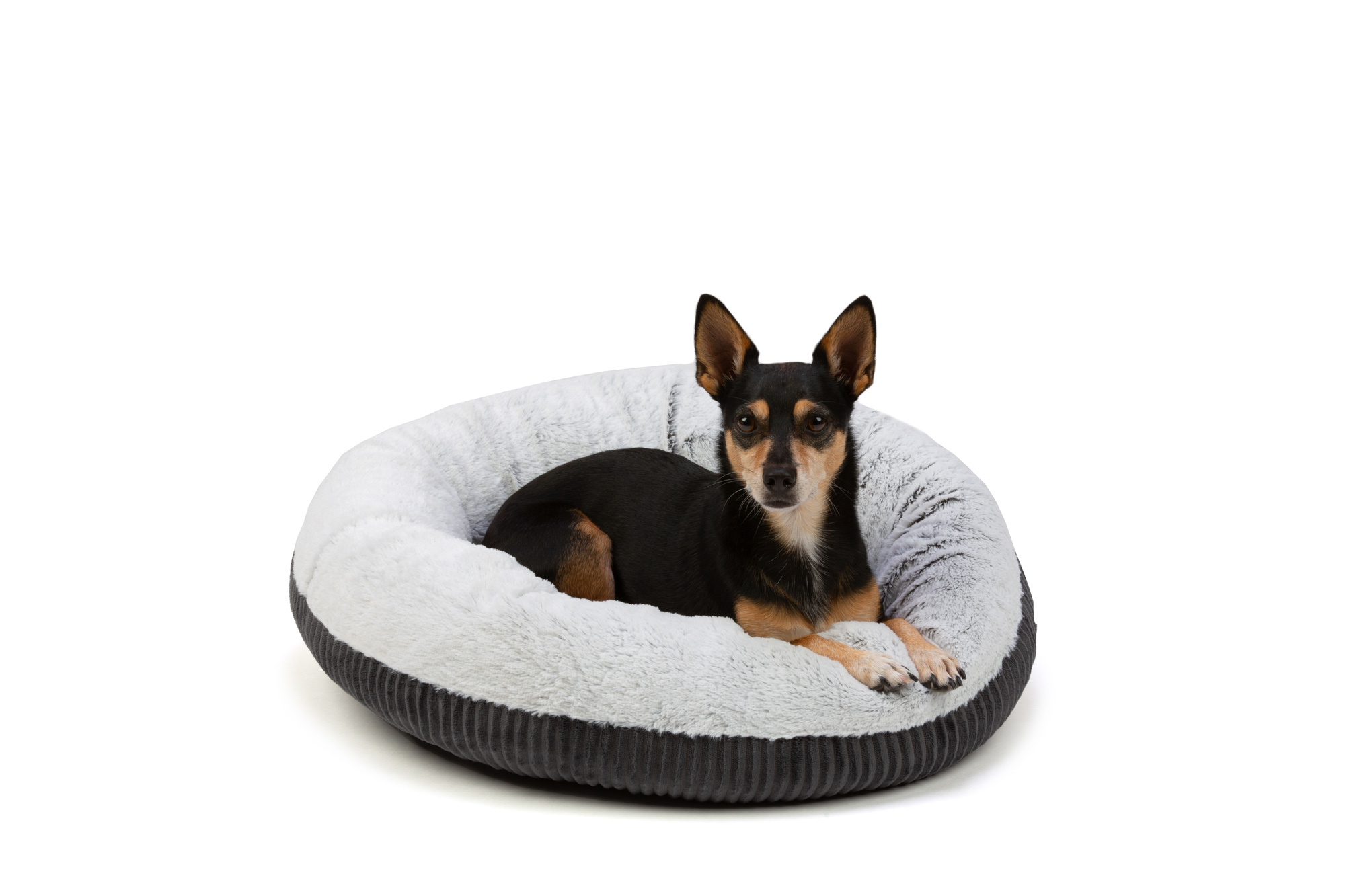 Stay Boris Dog Bed, Small Dog, Round Cuddler Pet Bed, Machine Washable ...