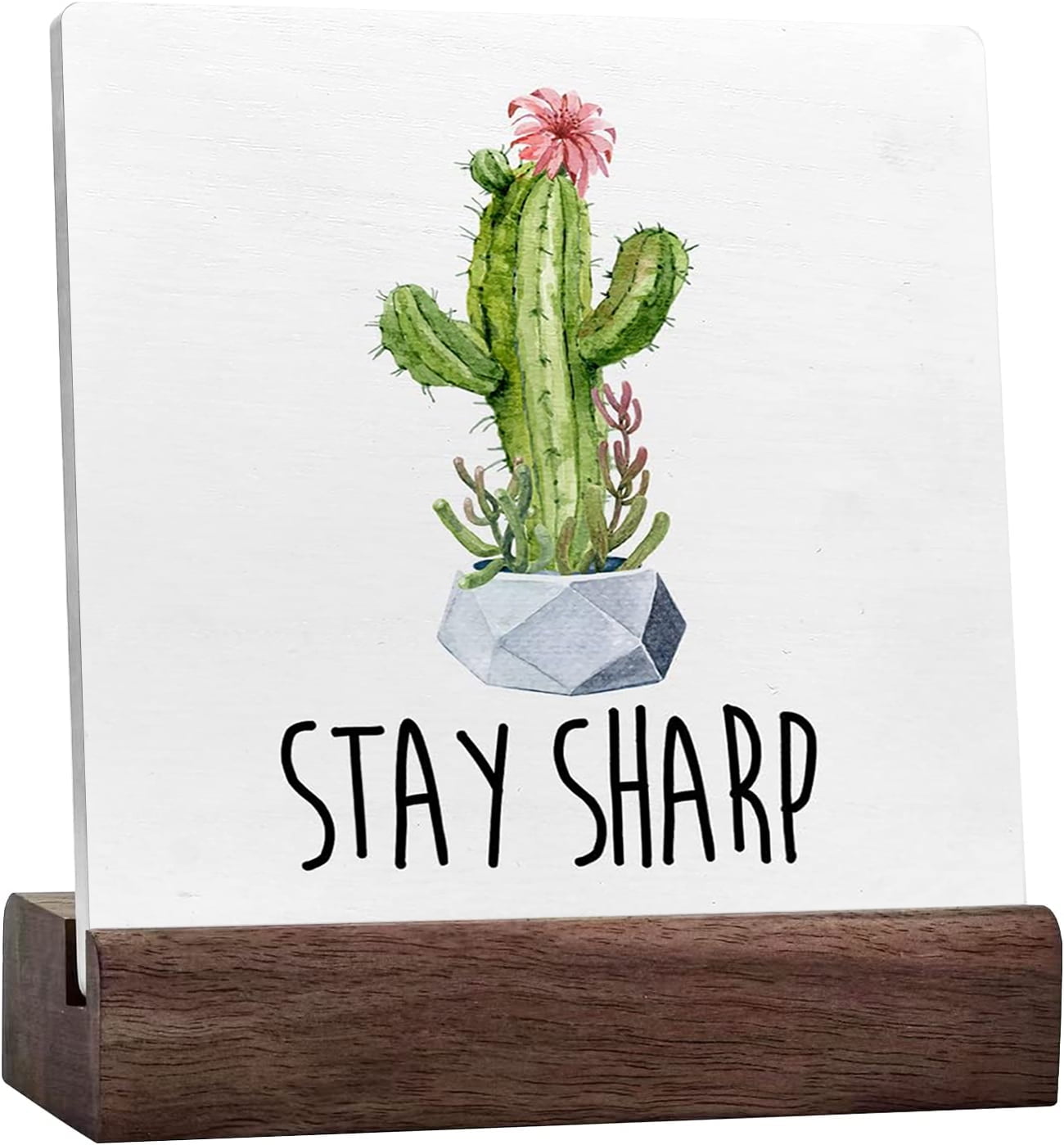Stay Sharp Inspirational Sign Decor Desk Sign,Farmhouse Rustic Cactus ...