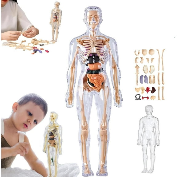 Itty Bitty Body Parts | Spooky Gift Bag of 14 - Walmart.com