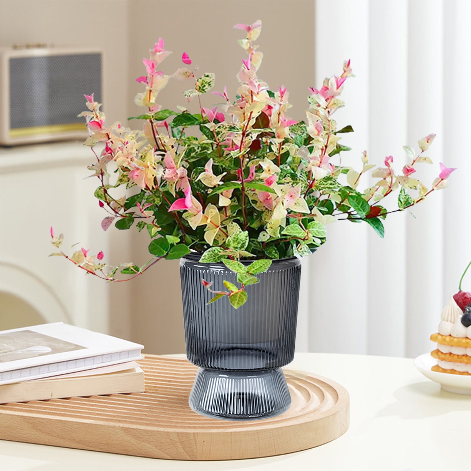 Steadline Transparent Self-Watering Hydroponic Vase,13x10cm Plastic ...