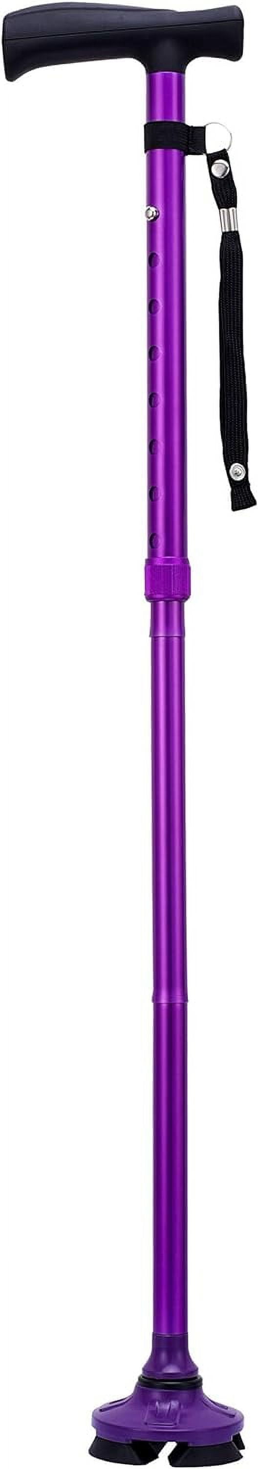 SteadyCane Self-Standing Cane 4 Feet and Light Hurry Before They are ...