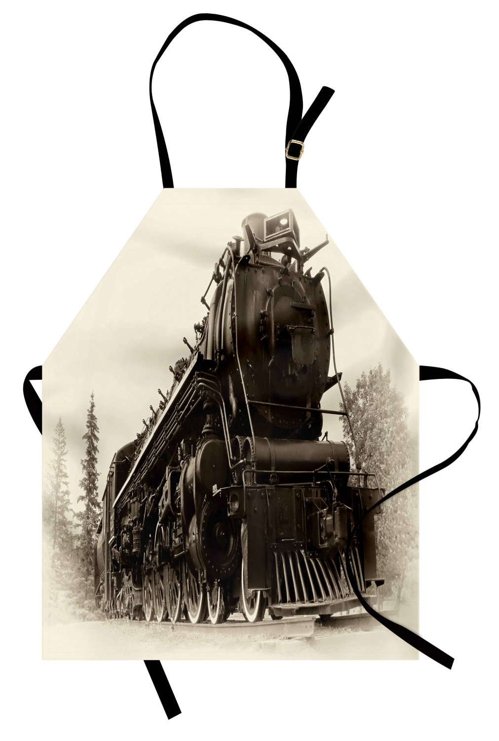 Steam Engine Apron Antique Northern Express Train Canada Railways Photo ...