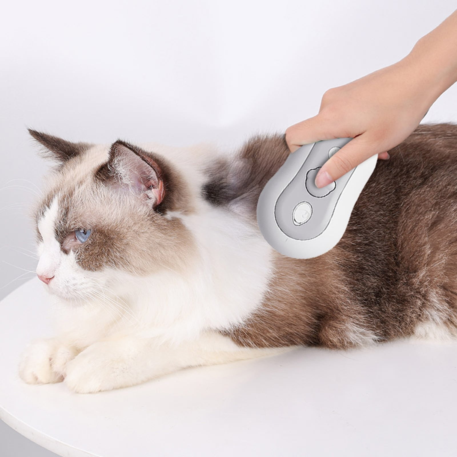 Steamer Cat Brush Efficient Grooming Multiple Purposes Gentle Massage ...