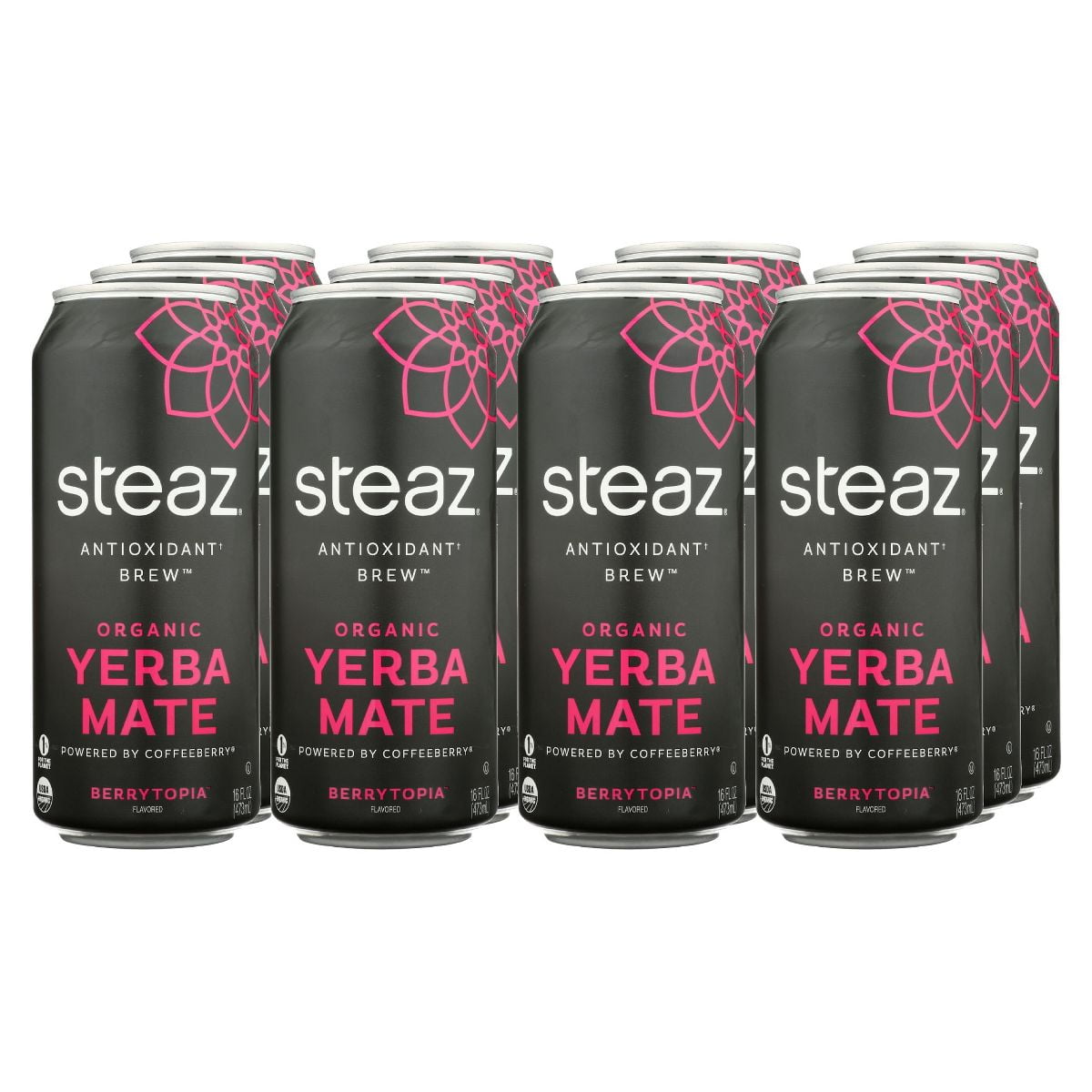 Steaz Organic Berrytopia Yerba Mate Tea - Case of 12/16 oz - Walmart.com