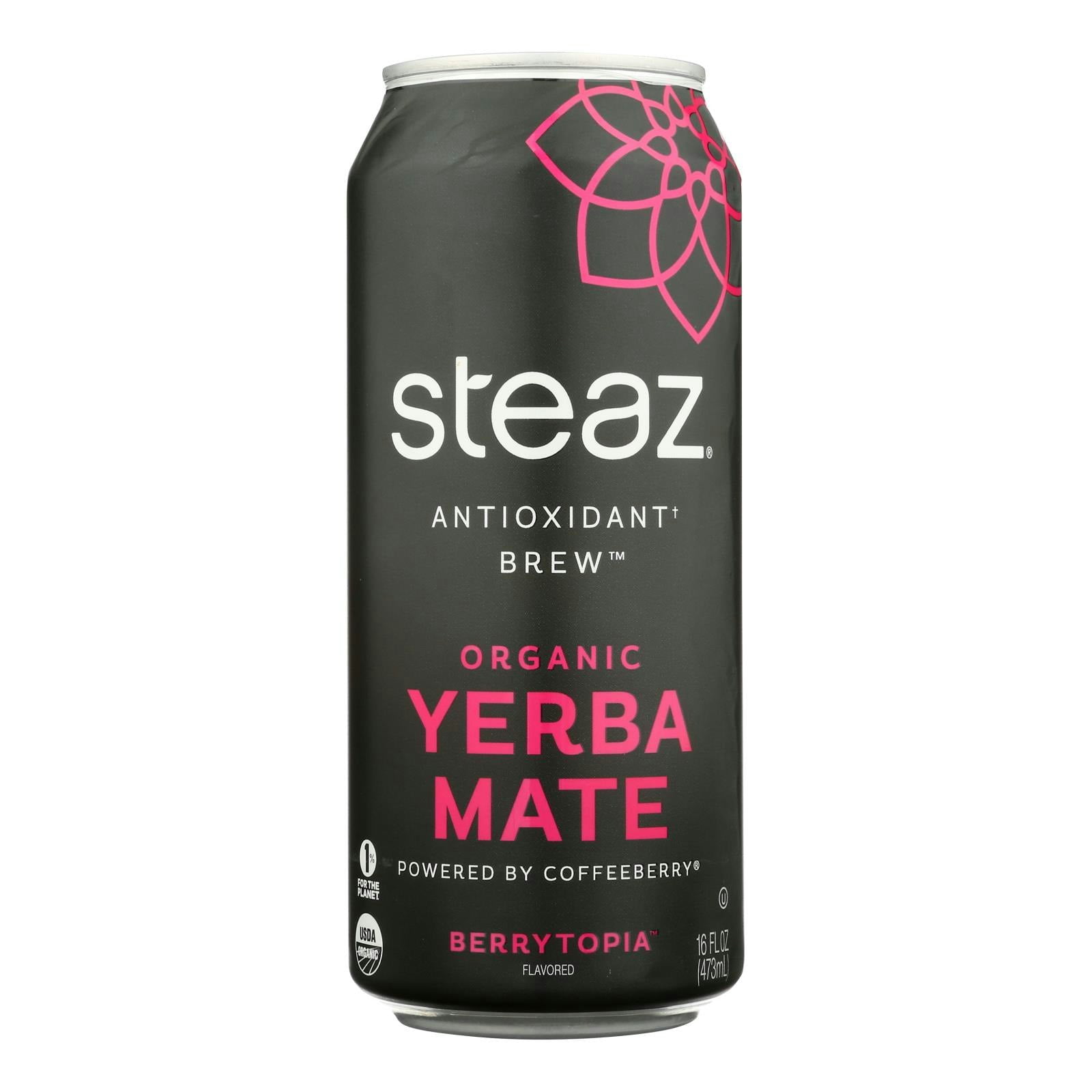 Steaz Yerba Mate Berrytopia 16 fl oz (Pack of 12) - Walmart.com