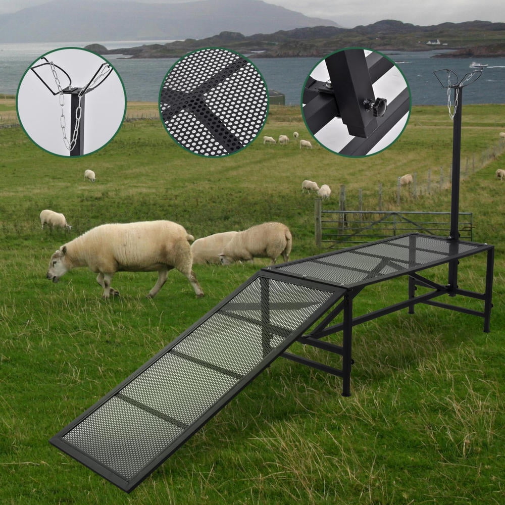 Steel Livestock Trimming Stand with Ramp for Goat Hoof Clipping, Heavy ...