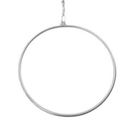 Miumaeov Yoga Aerial Hoop Silver Stainless Steel Yoga Ring Gymnastic ...