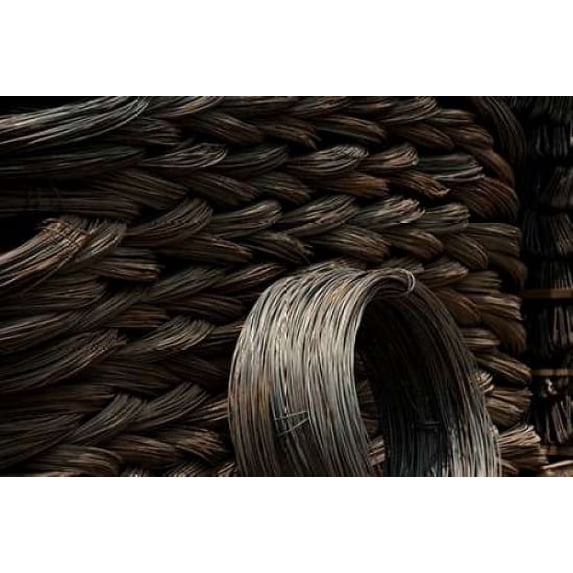 Steel Wire Detail Poster Print by Erin Berzel (20 x 28) - Walmart.com