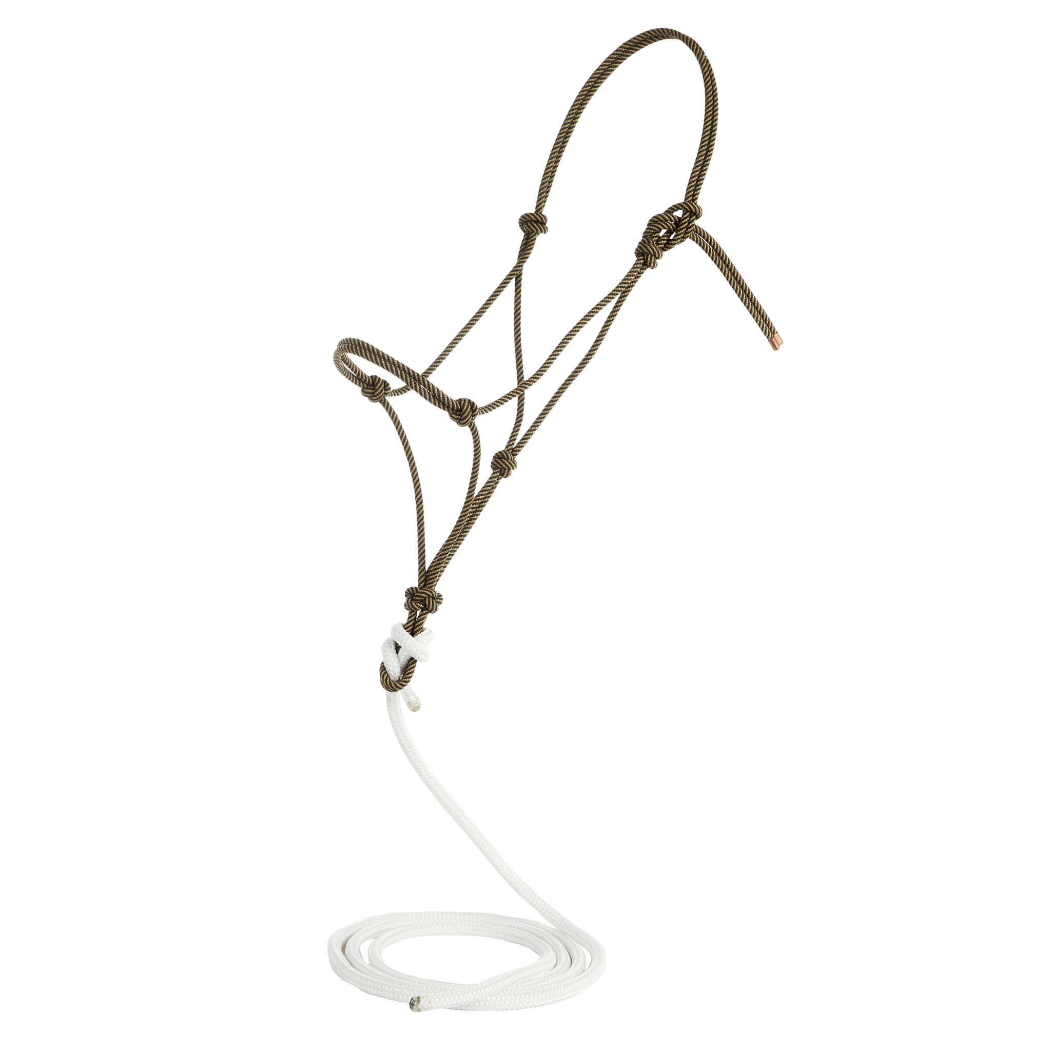Steele Halters Average Horse Halter with Attached 10ft Lead Rope ...