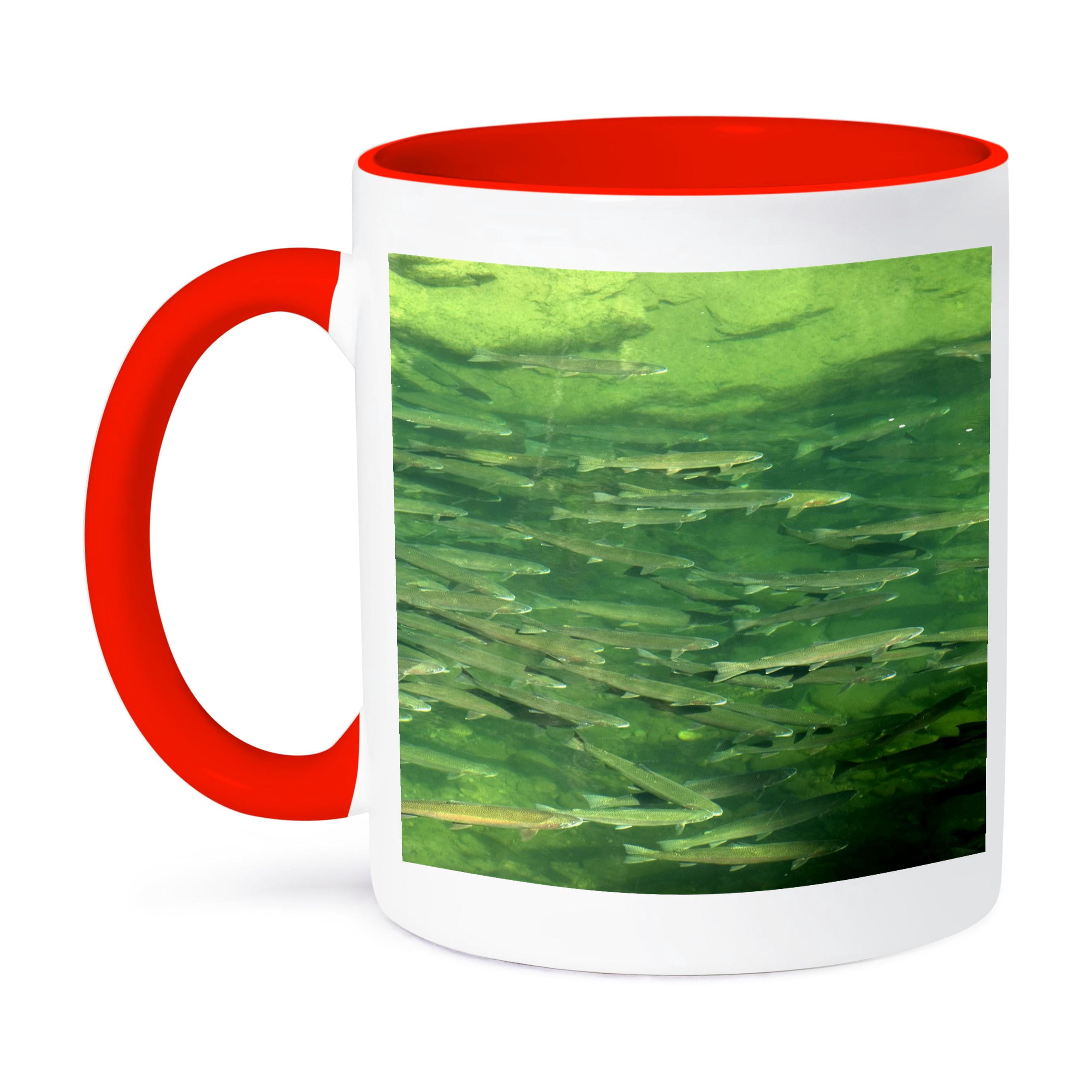 Steelhead Fish Migration, Steamboat Creek, Oregon - Us38 Jda0023 ...
