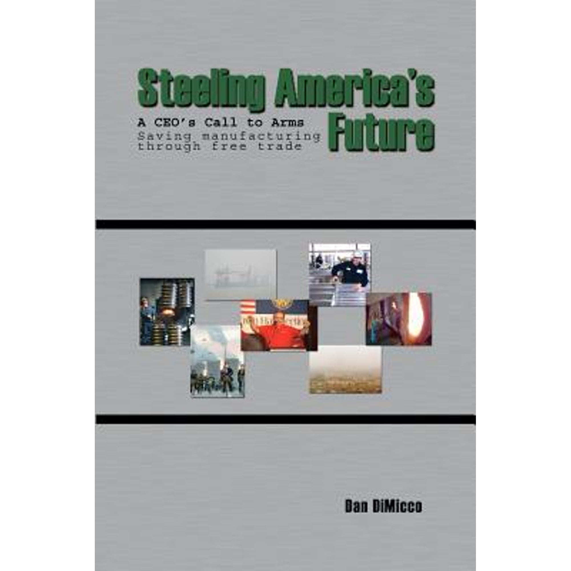 Pre-Owned Steeling America's Future (Paperback) 0979017807 ...