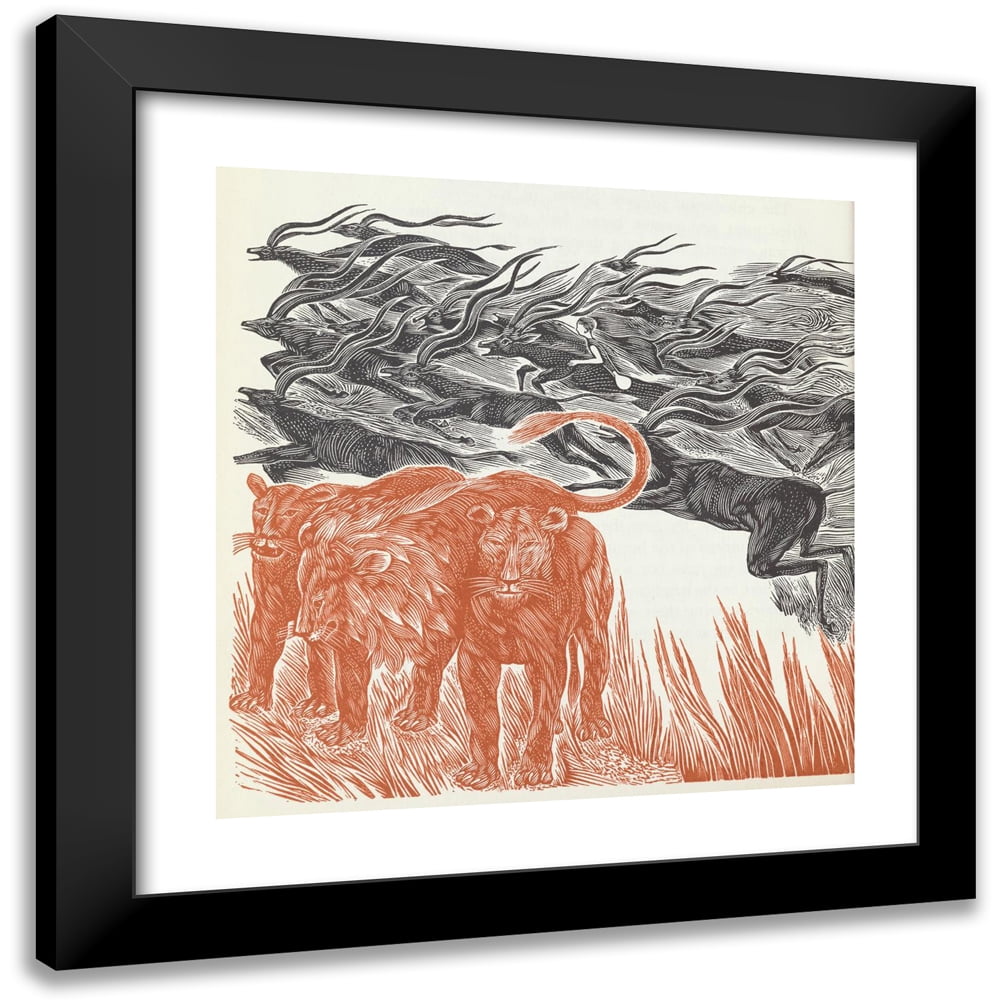 Stefan Martin 20x20 Black Modern Framed Museum Art Print Titled ...