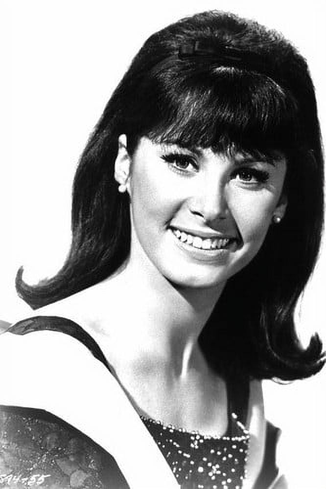 Stefanie Powers smiling 1960's studio pose The Girl From UNCLE 24x36 ...