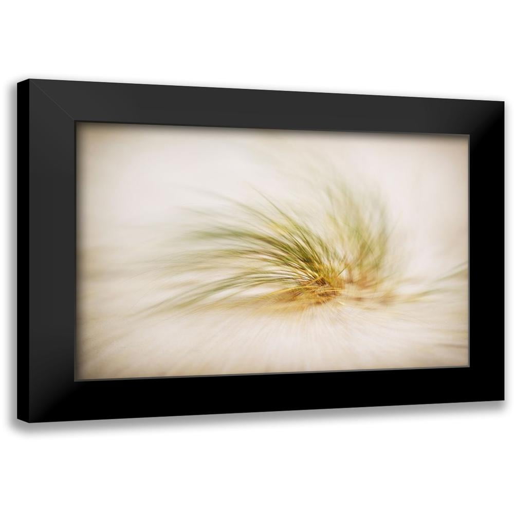 Steger, Uwe 24x17 Black Modern Framed Museum Art Print Titled ...