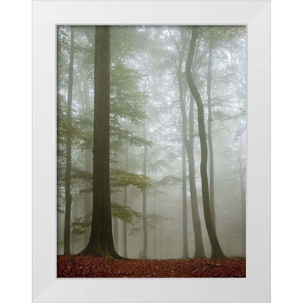 Stekl, Jiri 15x18 White Modern Wood Framed Museum Art Print Titled - Visible Invisibility ...