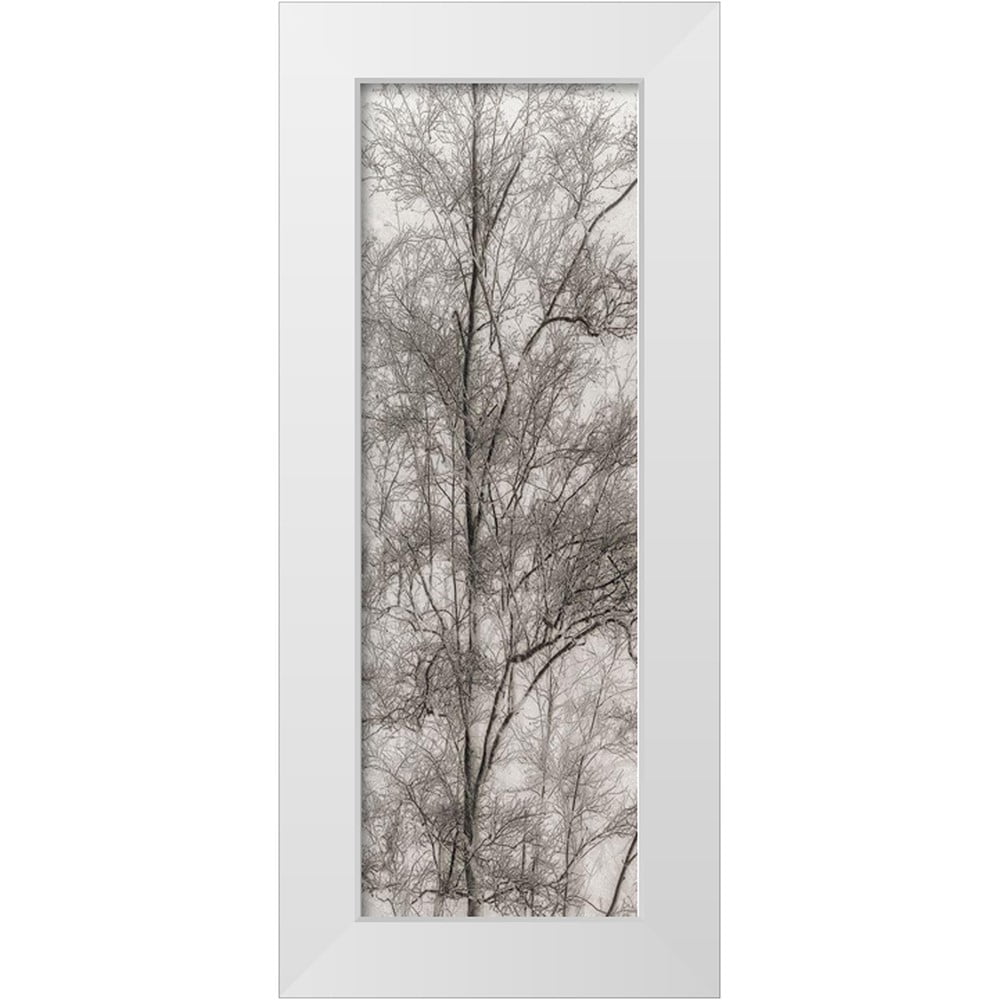 Stelfox, Norm 13x32 White Modern Wood Framed Museum Art Print Titled ...