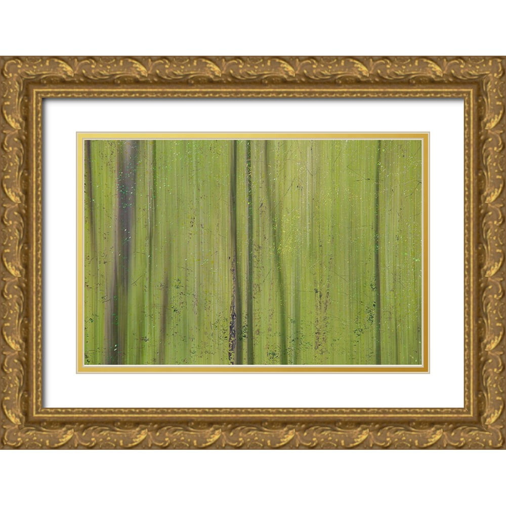 Stelfox, Norm 24x17 Gold Ornate Wood Framed with Double Matting Museum ...