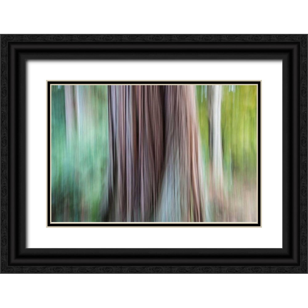 Stelfox, Norm 32x23 Black Ornate Wood Framed with Double Matting Museum ...