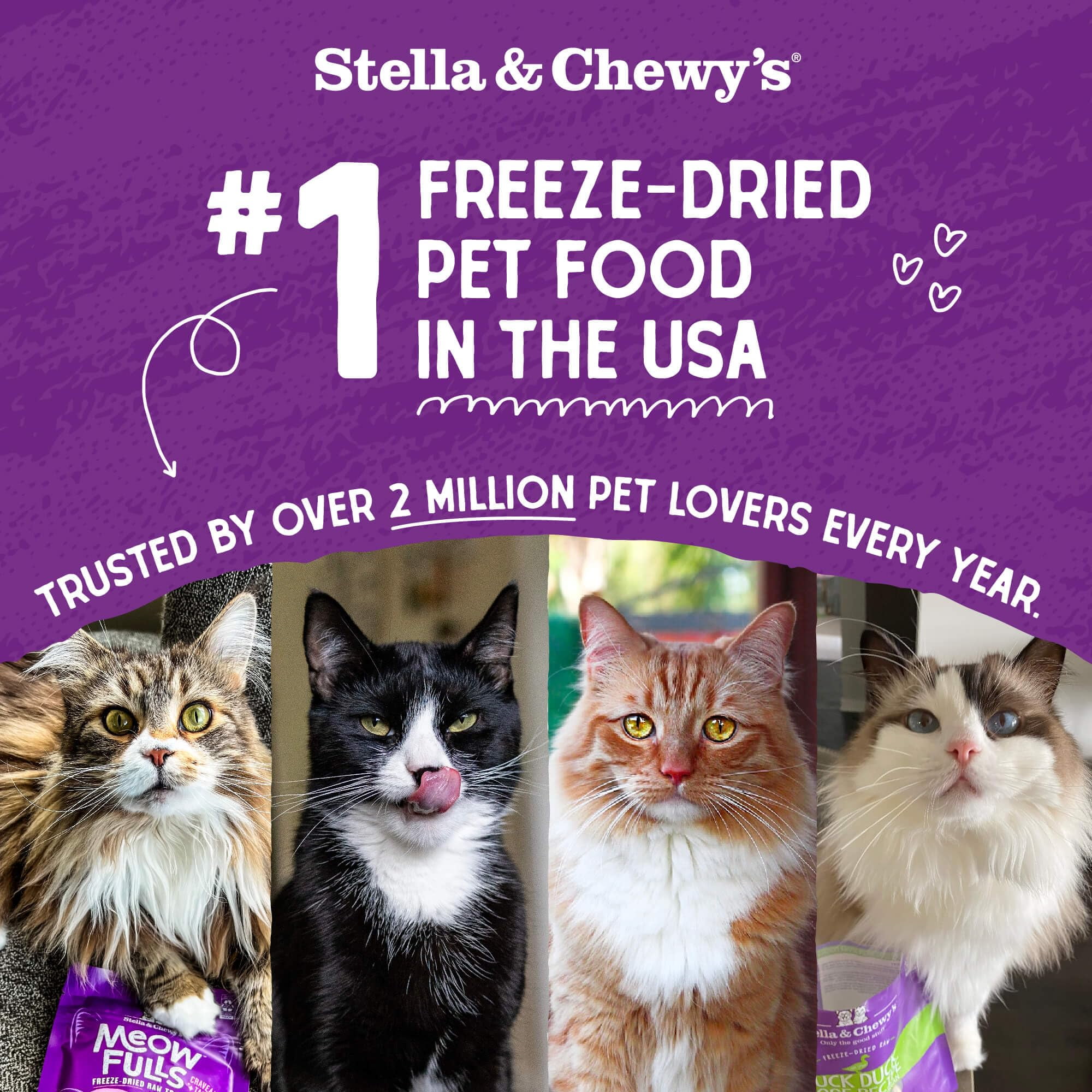 Stella & Chewy's FEV6 Freeze-Dried Raw Cat Dinner Morsels - Premium ...