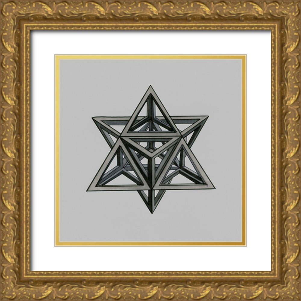 Stellar Design Studio 20x20 Gold Ornate Wood Framed with Double Matting Museum Art Print Titled ...