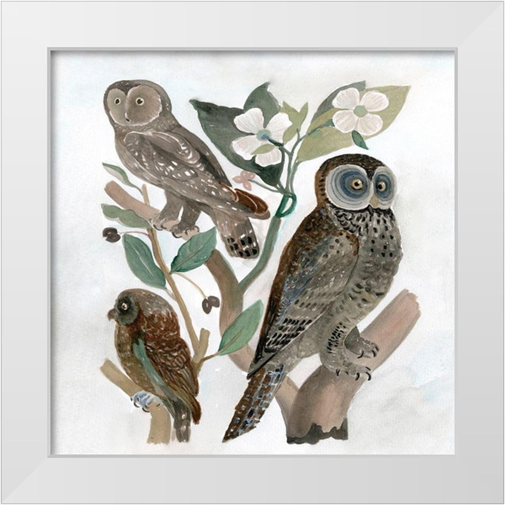 Stellar Design Studio 20x20 White Modern Wood Framed Museum Art Print Titled - Traditional Owls ...