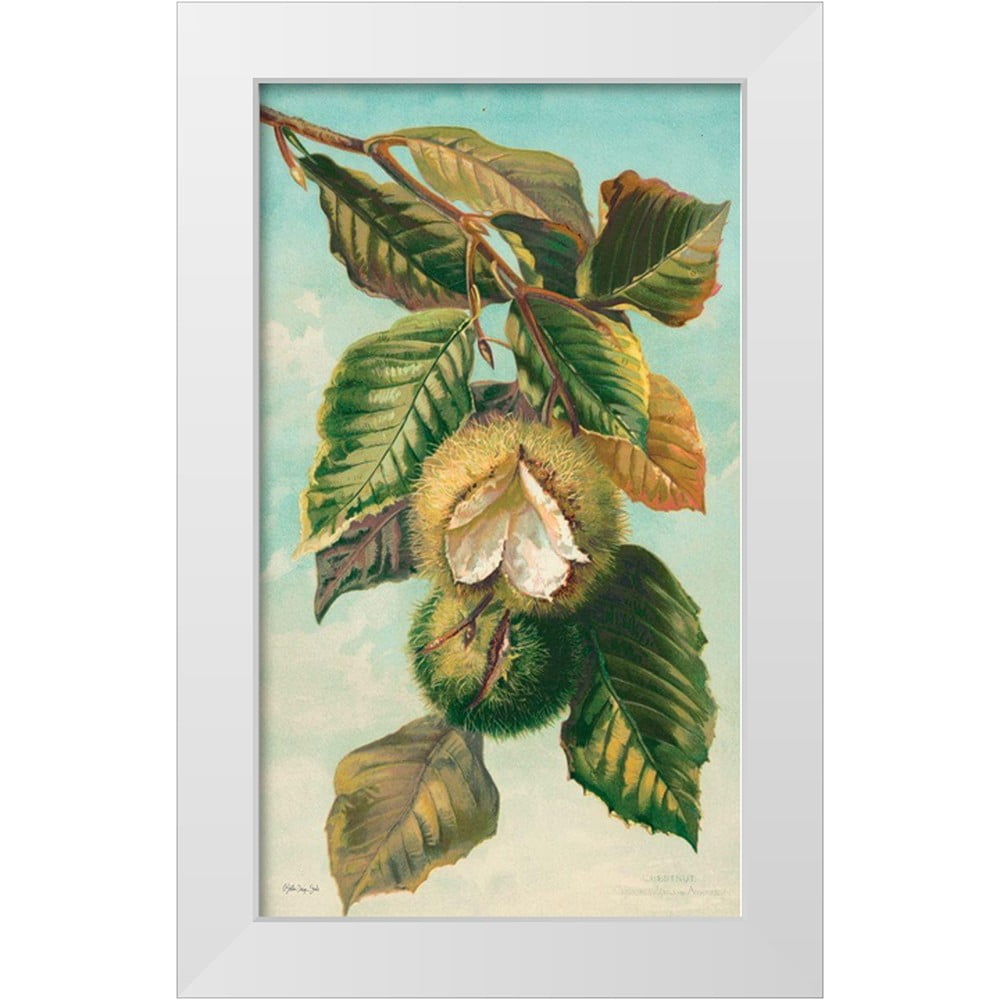Stellar Design Studio 20x32 White Modern Wood Framed Museum Art Print ...