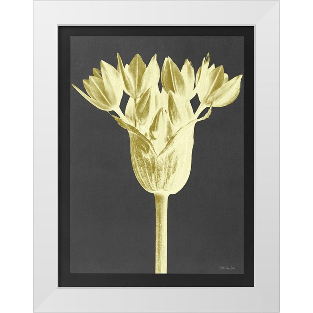 Stellar Design Studio 25x32 White Modern Wood Framed Museum Art Print ...