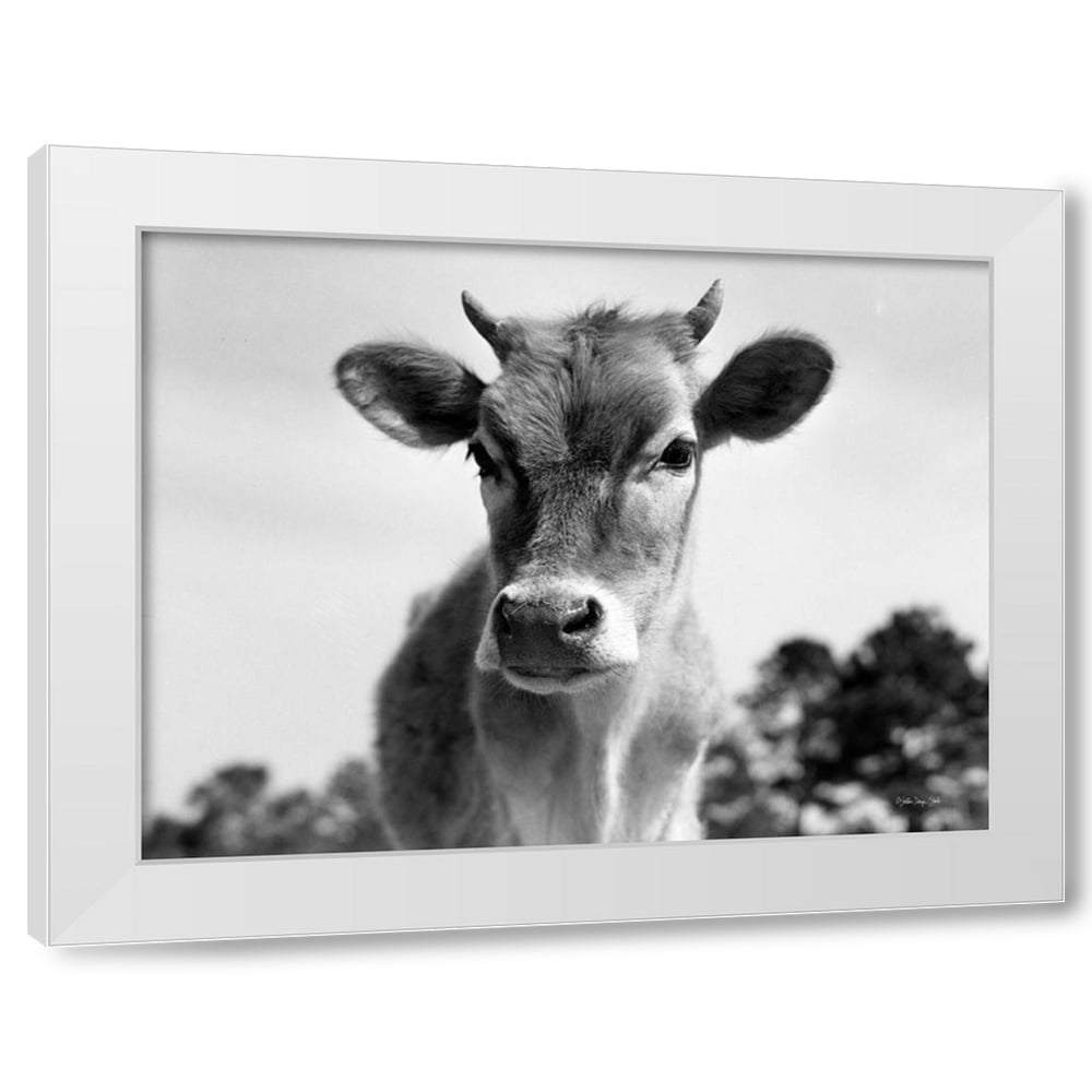 Stellar Design Studio 4x14 White Modern Wood Framed Wall Art Titled ...