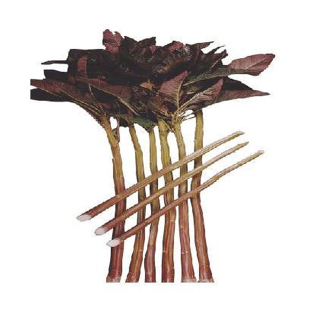 Stem Amaranth ( Data Shak ) - Bhutan Soft Seeds for Planting - 100g ...