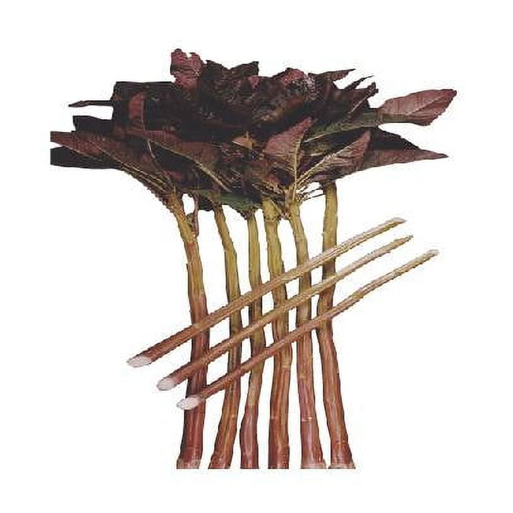 Stem Amaranth ( Data Shak ) - Bhutan Soft Seeds for Planting - 50g ...