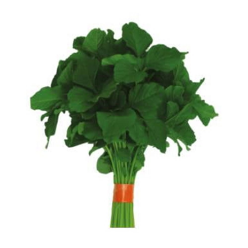 Stem Amaranth Seeds - Data Shak Seeds for Planting (Green Super) - 50g ...