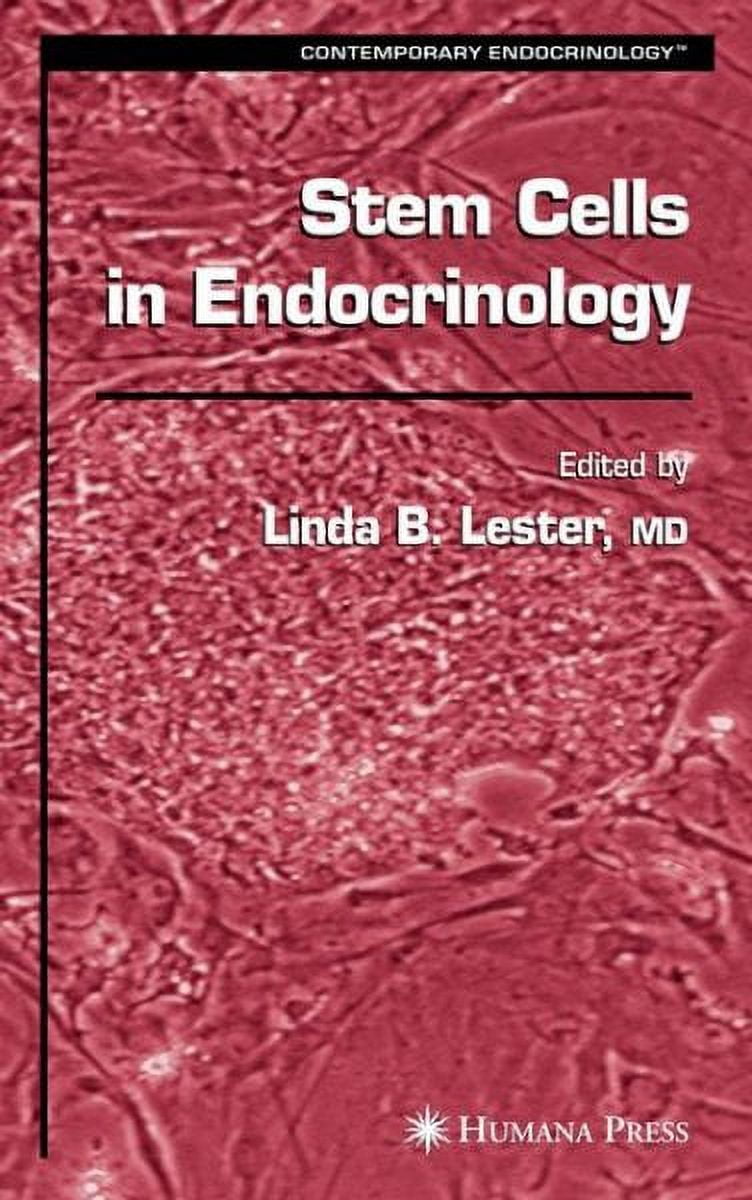 Stem Cells in Endocrinology - Walmart.com