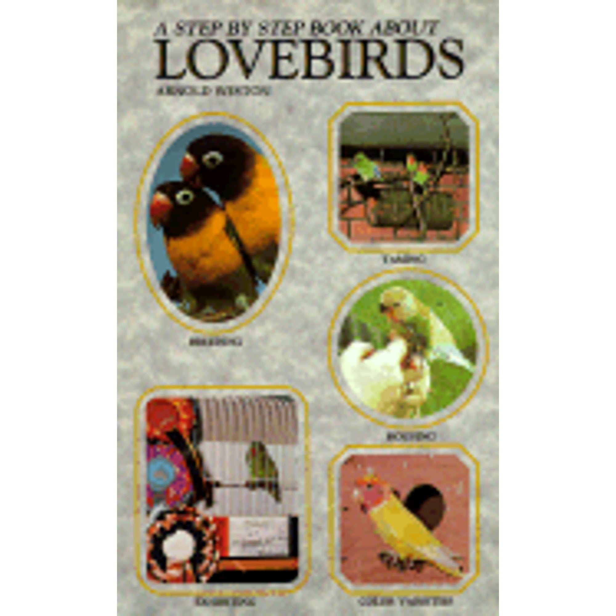 Pre-Owned Step-By-Step about Lovebirds (Paperback) 0866224564 ...