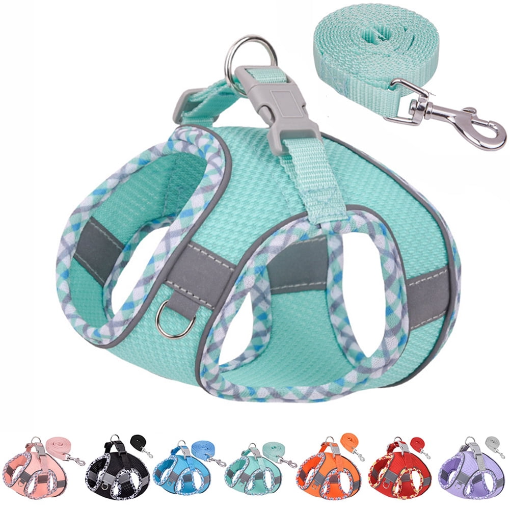Step in Dog Harness and Leash Set - Summer No Pull Escape Proof Vest ...