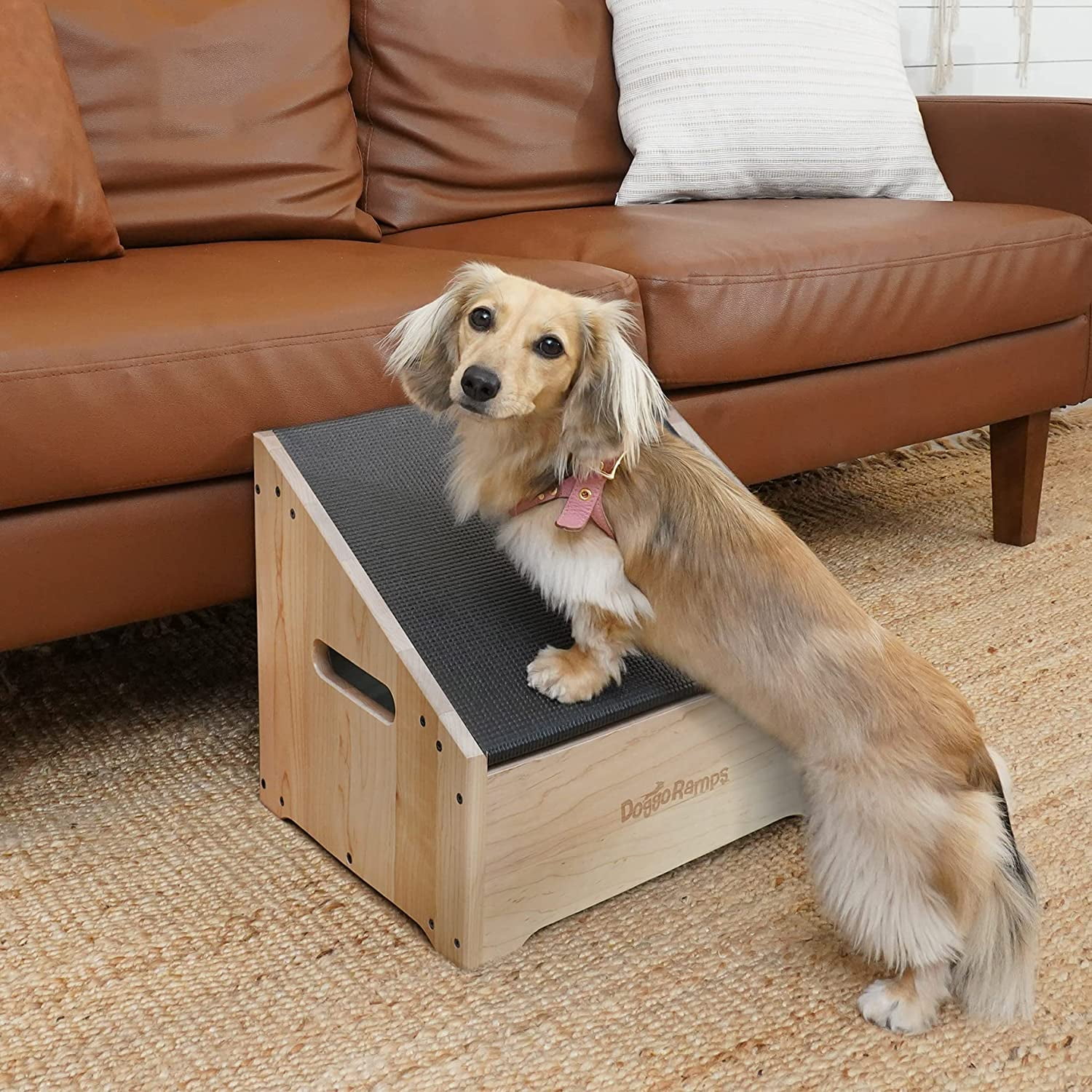 Step-Ramp for Dogs - Solid Hardwood with 3 Finish Options - Dog Ramp ...