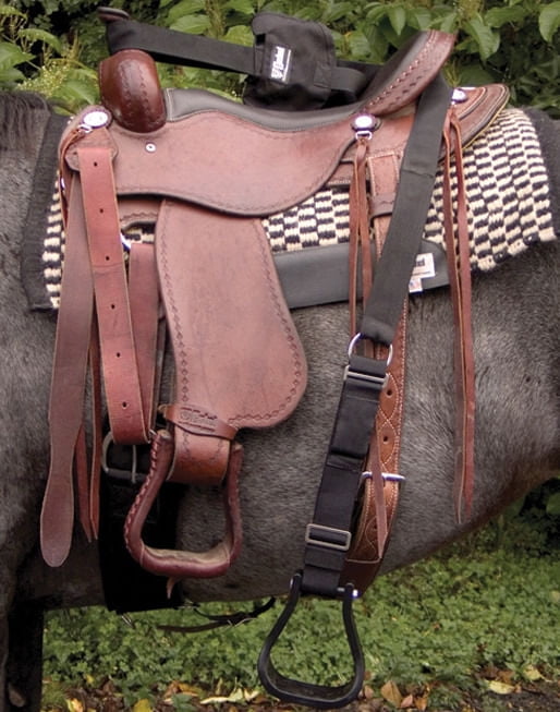 Step-Up Stirrup (ea) Size: Long - Walmart.com